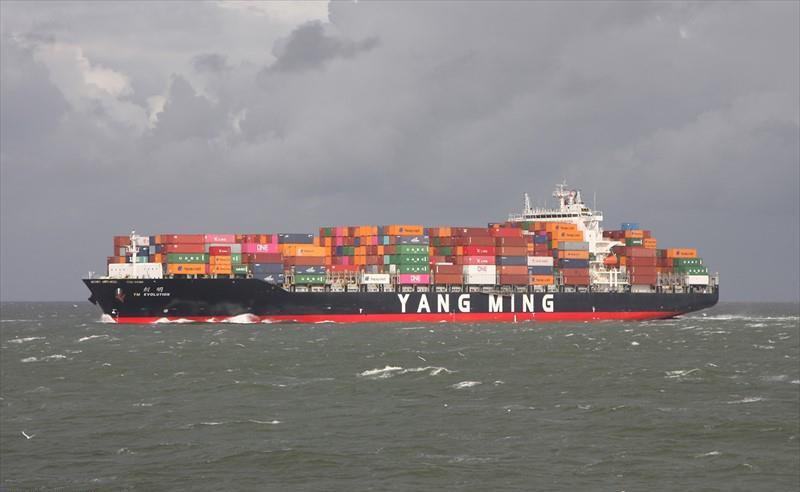 YM EVOLUTION - Vesseljoin