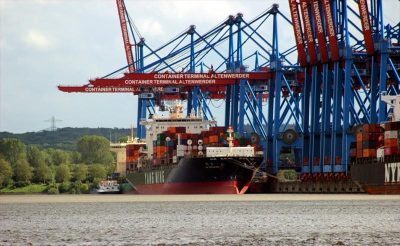 YM EVOLUTION - Vesseljoin