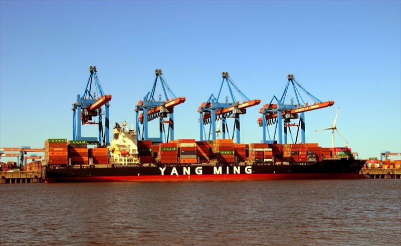 YM EVOLUTION - Vesseljoin