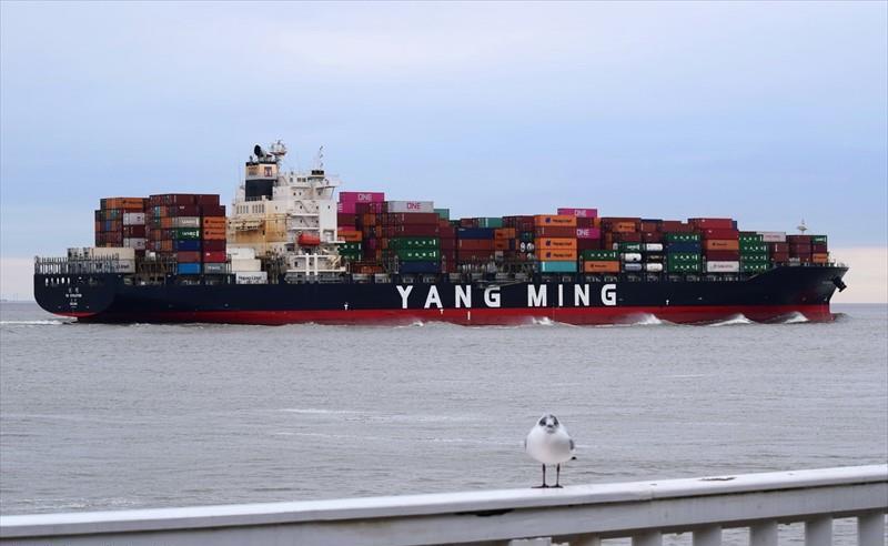 YM EVOLUTION - Vesseljoin