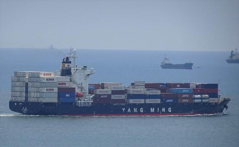 YM IMMENSE - Vesseljoin