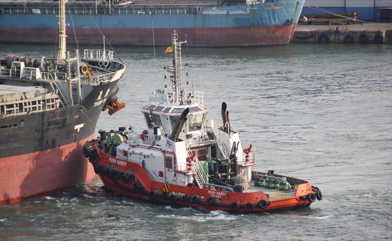 POSH HARDY - Vesseljoin