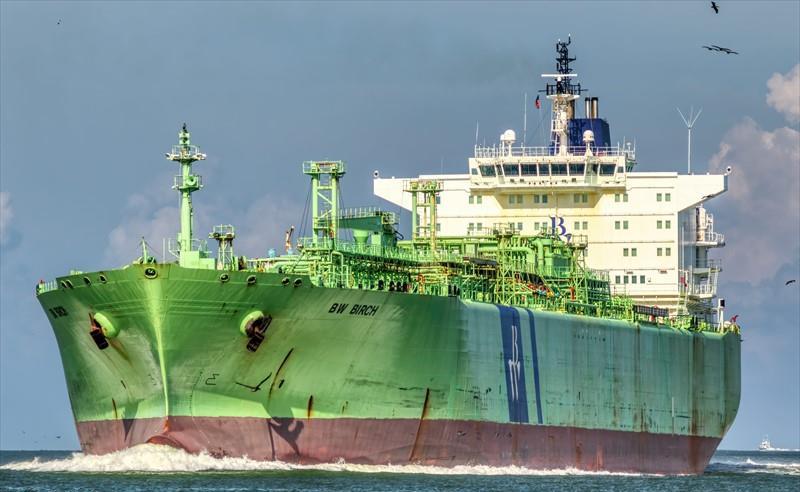 BW BIRCH - Vesseljoin