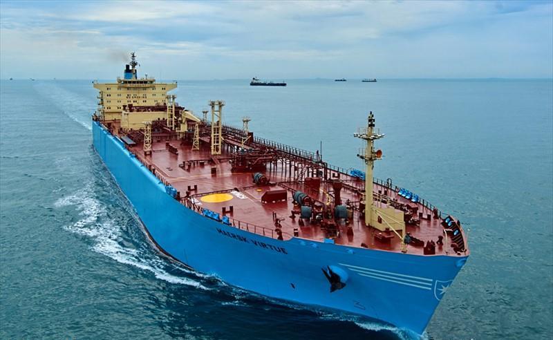 BW BIRCH - Vesseljoin