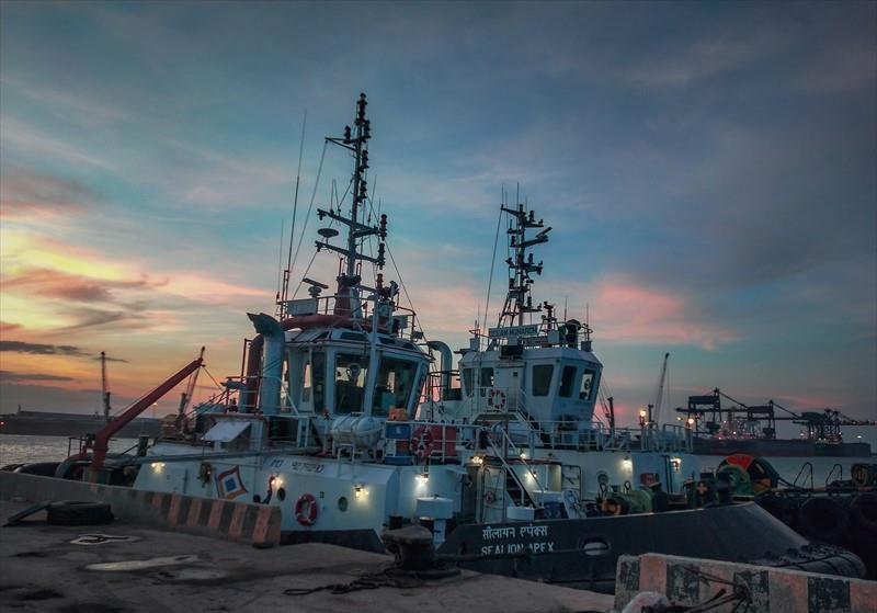 SEALION APEX - Vesseljoin