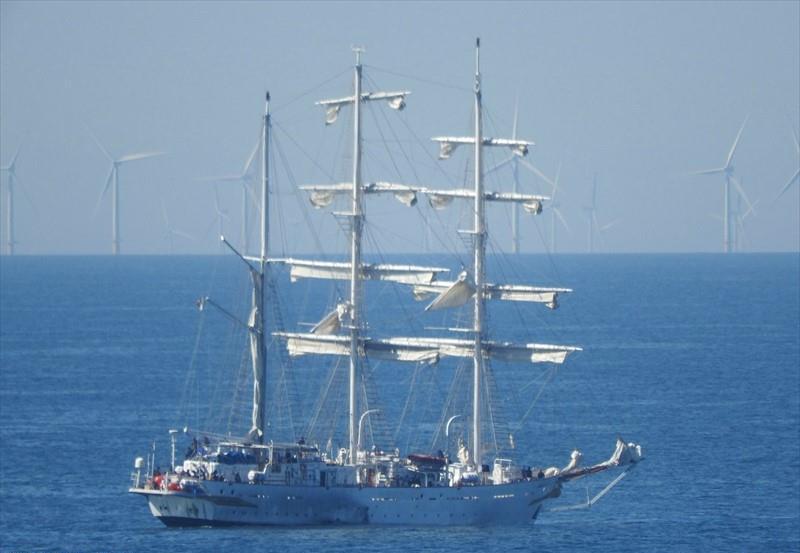 TARANGINI - Vesseljoin