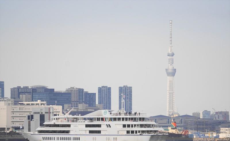 SYMPHONY MODERNA - Vesseljoin