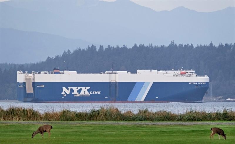 ASTERIA LEADER - Vesseljoin