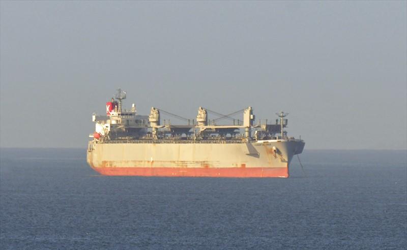 FORESTAL GAIA - Vesseljoin