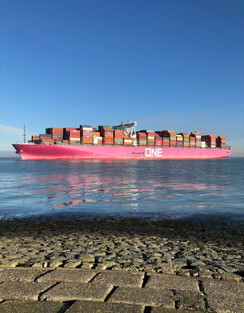 ONE BLUE JAY - Vesseljoin