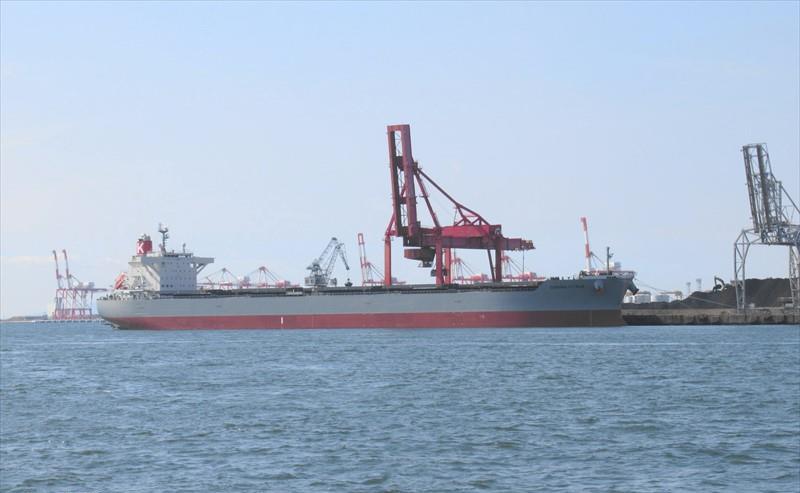 CORONA CITRUS - Vesseljoin