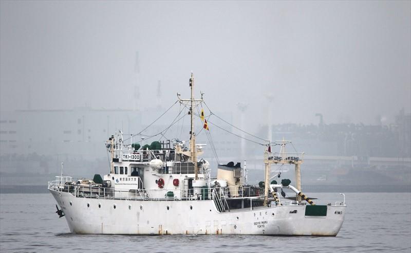 SEIYO MARU - Vesseljoin