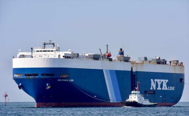 DELPHINUS LEADER - Vesseljoin