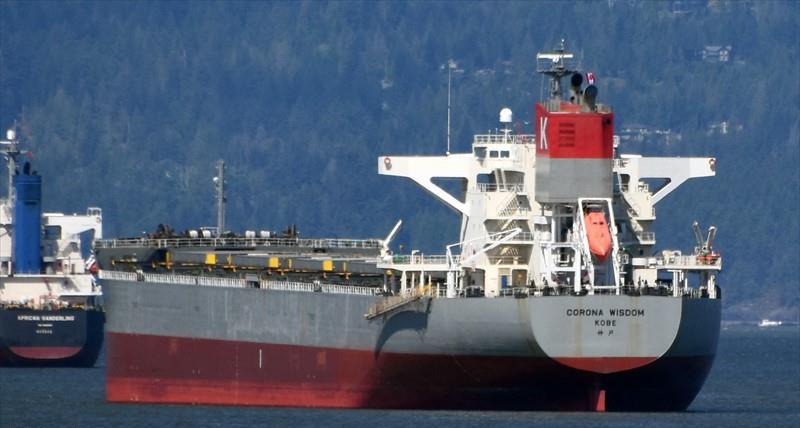 CORONA WISDOM - Vesseljoin