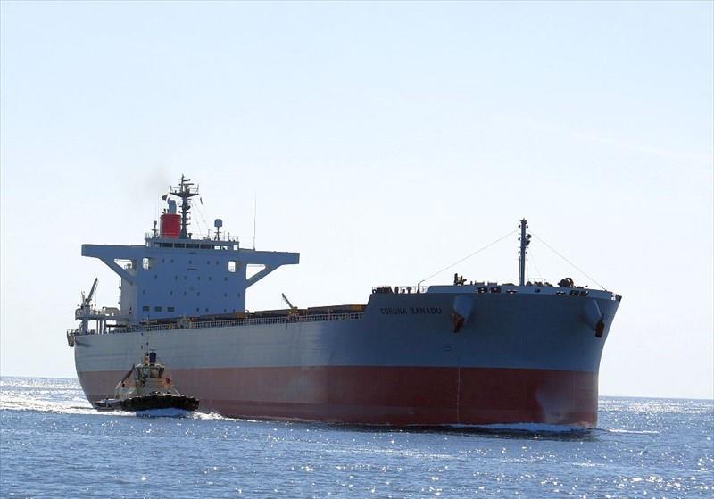 CORONA XANADU - Vesseljoin