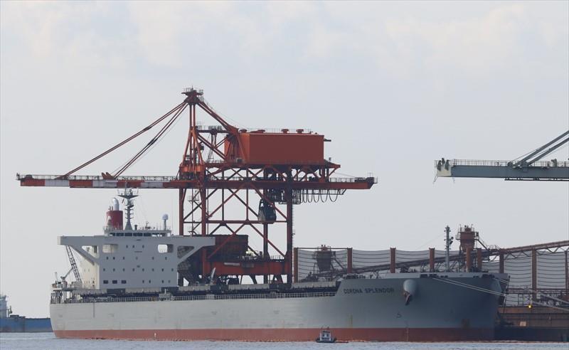 CORONA SPLENDOR (Bulk Carrier) - IMO: 9675614 | Vessel Details
