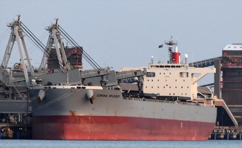 CORONA SPLENDOR (Bulk Carrier) - IMO: 9675614 | Vessel Details