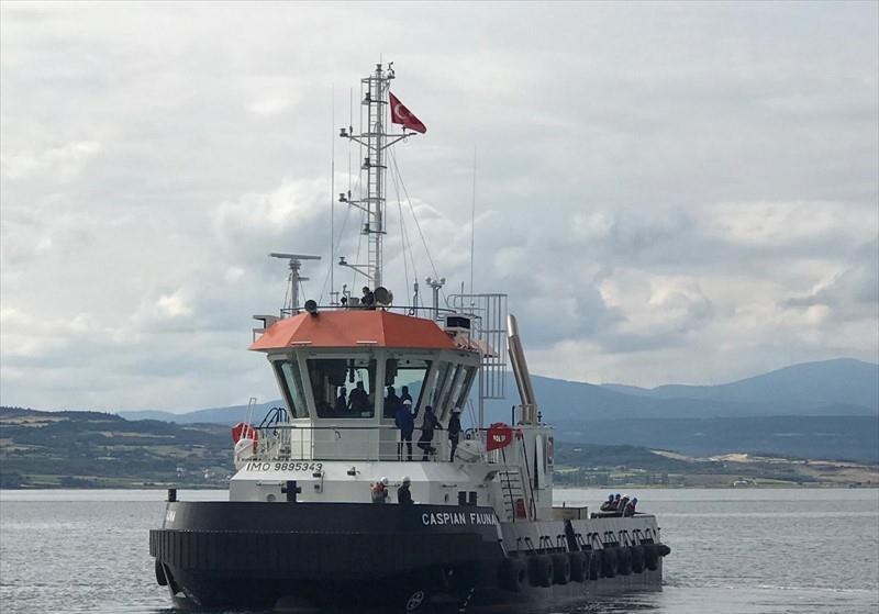 CASPIAN FAUNA - Vesseljoin