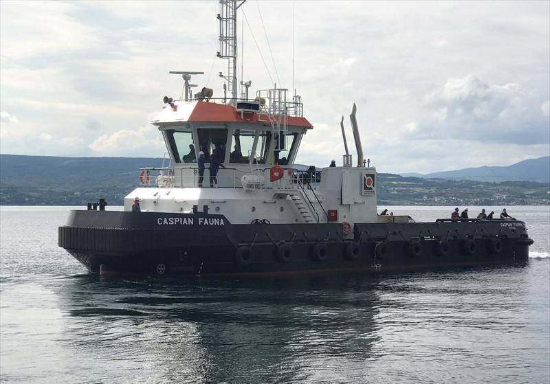 CASPIAN FAUNA - Vesseljoin