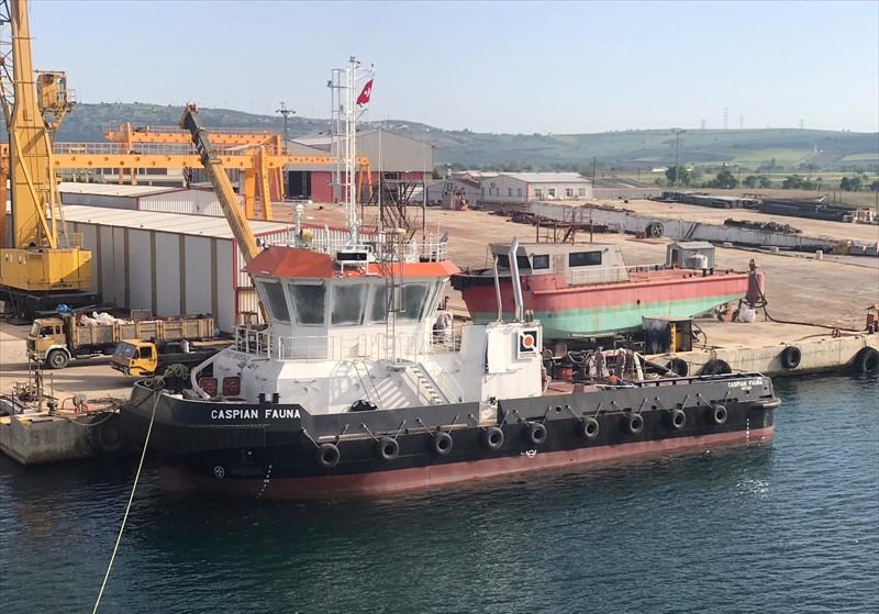 CASPIAN FAUNA - Vesseljoin