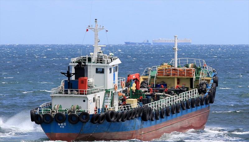 NEW DONGSIN - Vesseljoin