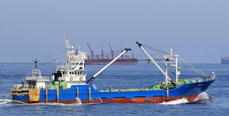 208 GEUM HAE - Vesseljoin