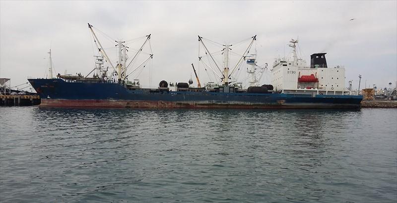 SEIN VENUS - Vesseljoin