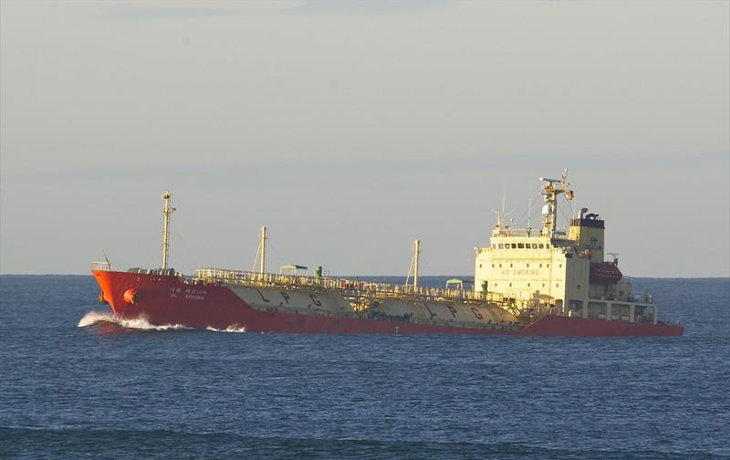 DL BEGONIA - Vesseljoin