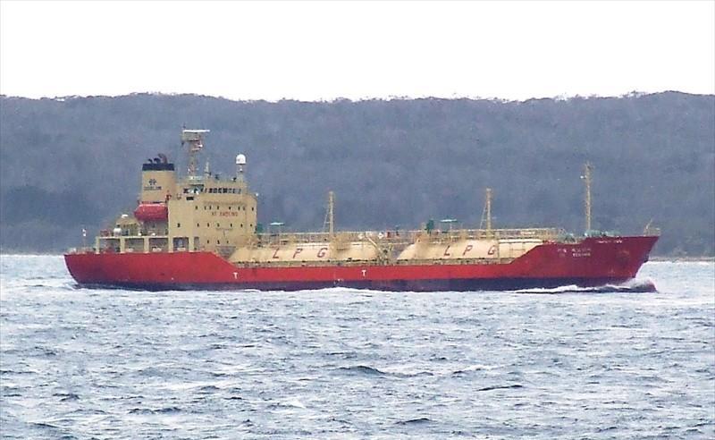 DL BEGONIA - Vesseljoin