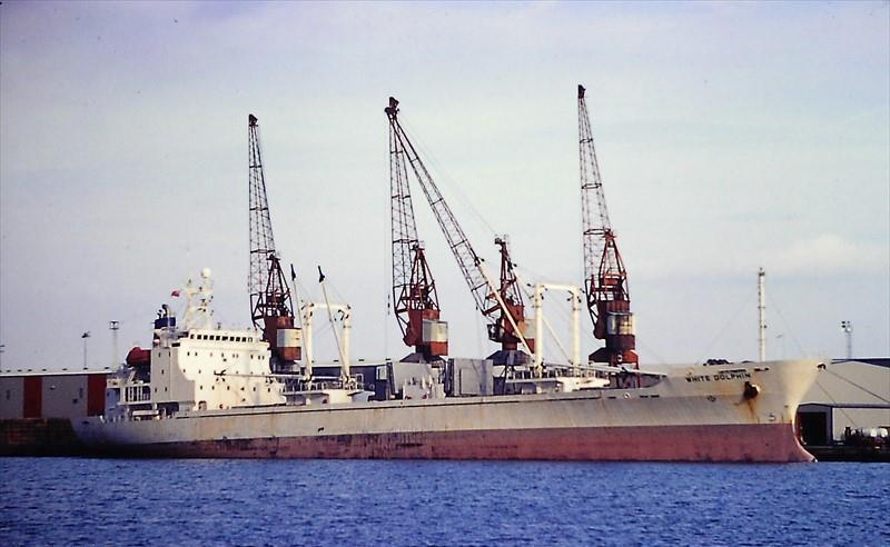 SEIN QUEEN - Vesseljoin