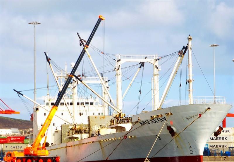 SEIN QUEEN - Vesseljoin