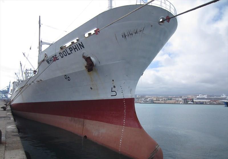 SEIN QUEEN - Vesseljoin