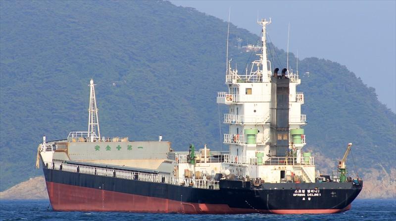 SPRING DELINI 1 - Vesseljoin