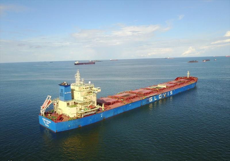 GLOVIS DAYLIGHT - Vesseljoin