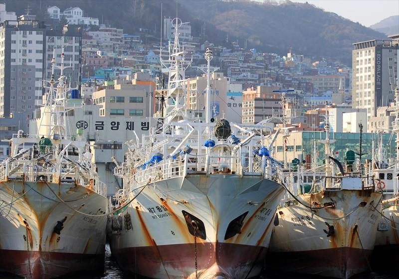 7 DONG IL - Vesseljoin