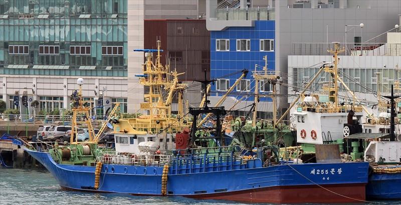 101 HAE GEUM - Vesseljoin