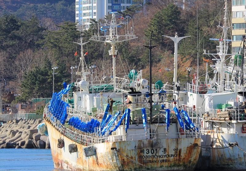 TONG YOUNG NO.301 - Vesseljoin