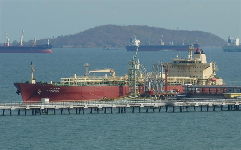 G.FOREVER - Vesseljoin