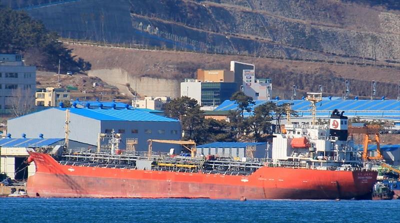 SAEHAN FREESIA - Vesseljoin