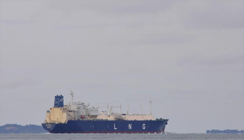 K.FREESIA - Vesseljoin