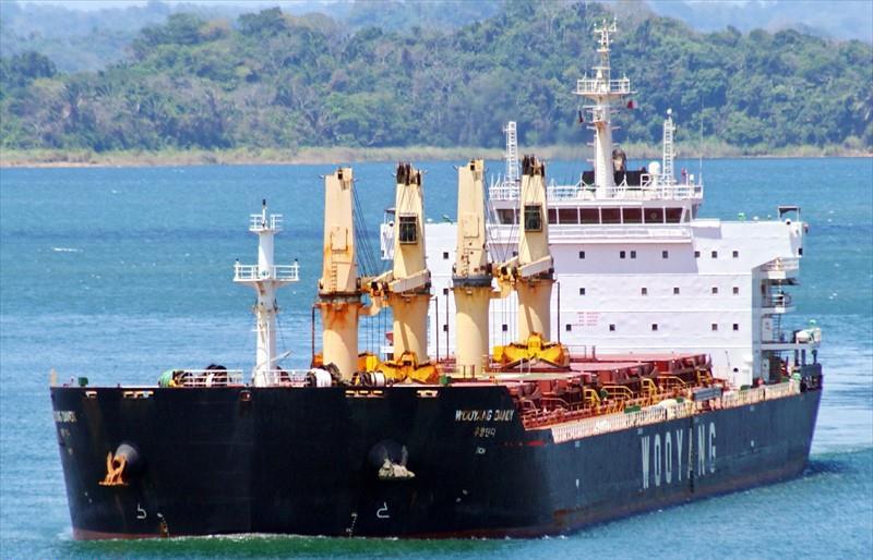 WOOYANG DANDY - Vesseljoin