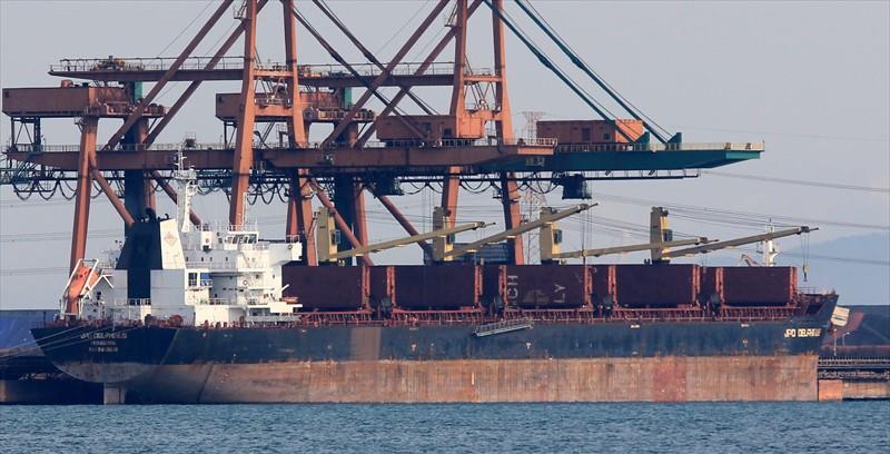 WOOYANG DANDY - Vesseljoin