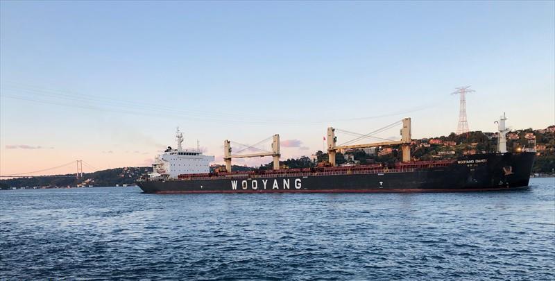 WOOYANG DANDY - Vesseljoin