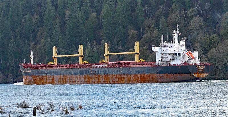 WOOYANG DANDY - Vesseljoin