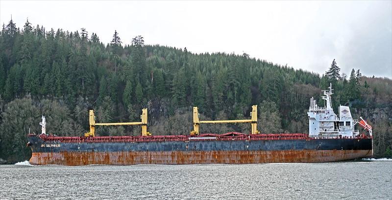 WOOYANG DANDY - Vesseljoin