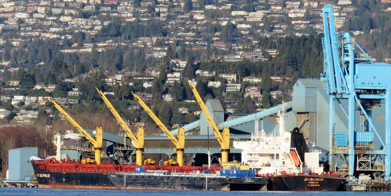 WOOYANG DANDY - Vesseljoin