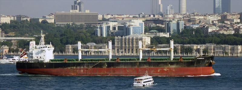 WOOYANG ELITE - Vesseljoin