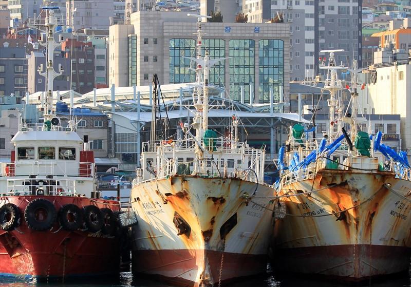 TONG YONG NO.803 - Vesseljoin