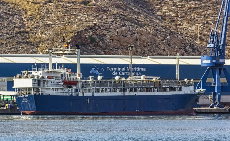 FREEDOM - Vesseljoin