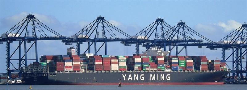 YM WISH - Vesseljoin